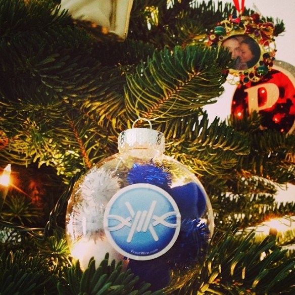 New FrostWire 5.6.9 for Windows, Mac and Linux out – Official FrostWire ...