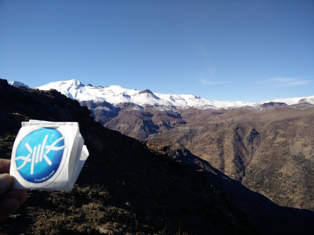 Get FrostWire 6.3.0 for Windows, Mac and Linux!! – Official FrostWire Blog