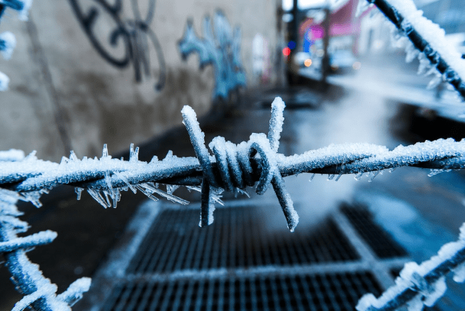 Official FrostWire Blog – Official FrostWire Blog