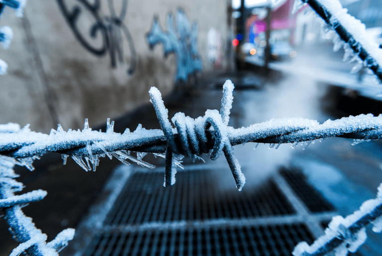 Official FrostWire Blog – Official FrostWire Blog